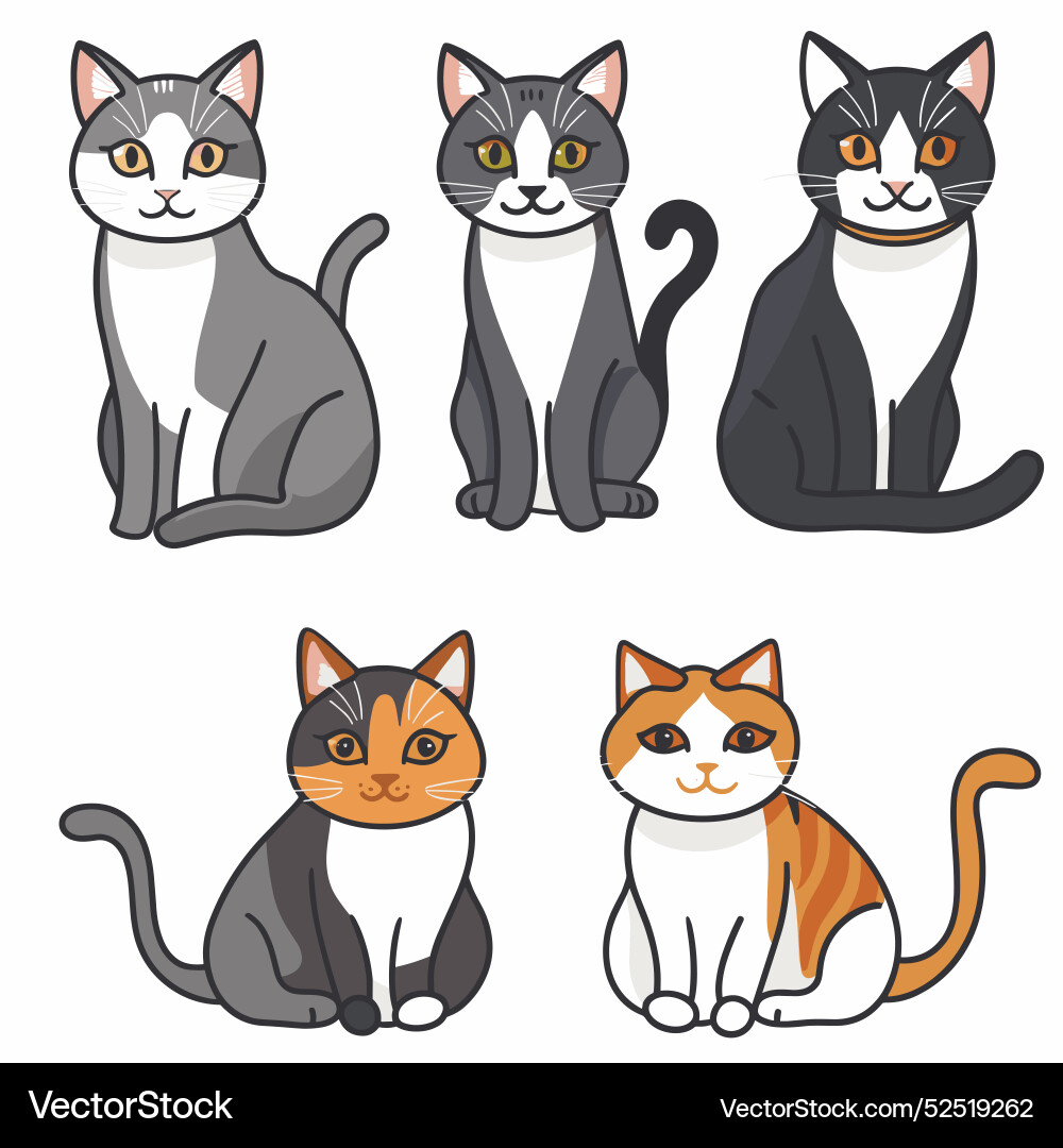 Six cartoon cats sit calmly two rows three Vector Image