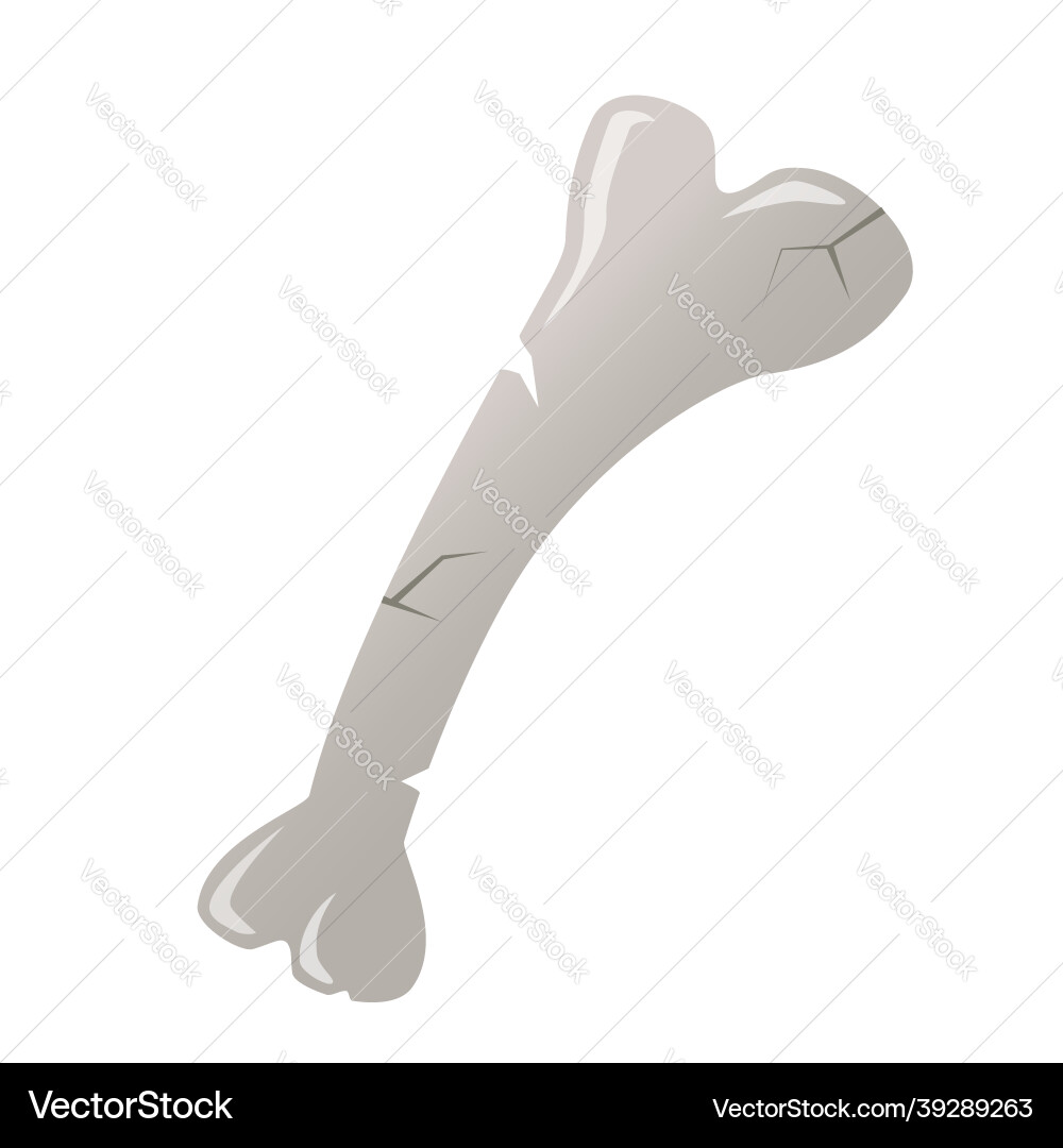 Cracked bone - creative modern cartoon style Vector Image