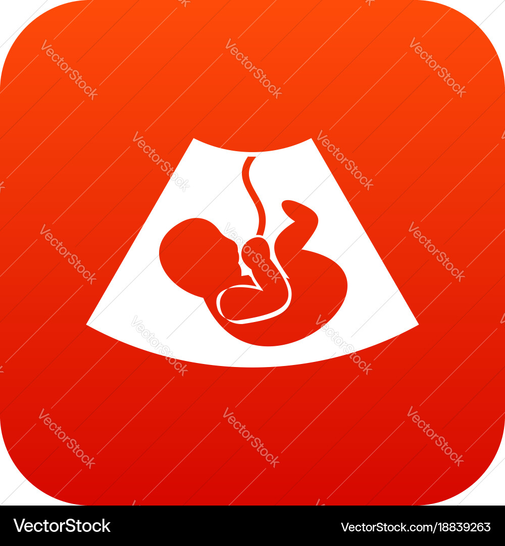 Ultrasound fetus icon digital rot Lizenzfreies Vektorbild
