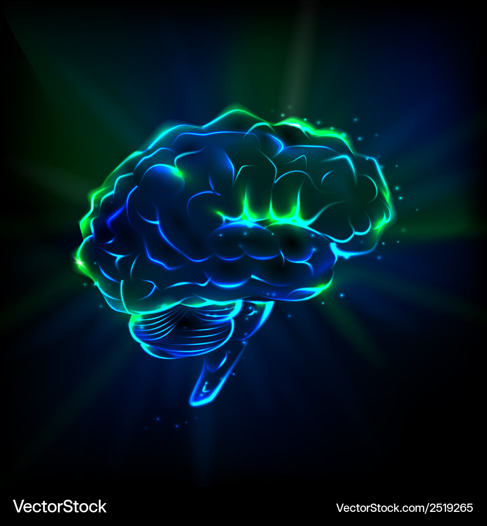 Shining brain Royalty Free Vector Image - VectorStock