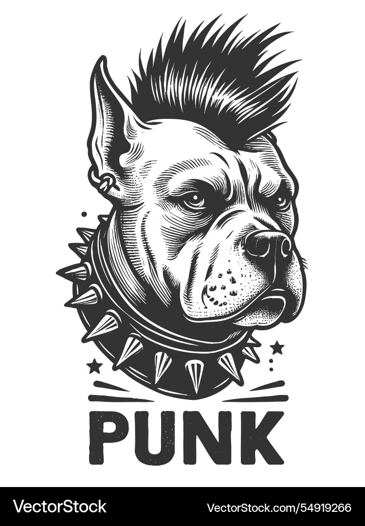 Punk dog mohawk spiked collar engraving Royalty Free Vector