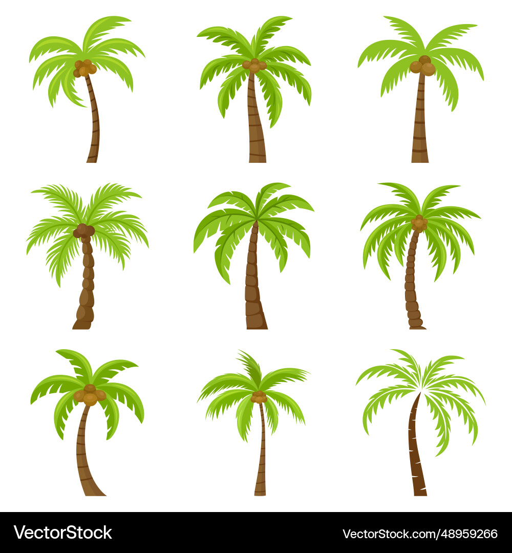 Tropical Palm Tree Icon Set Royalty Free Vector Image