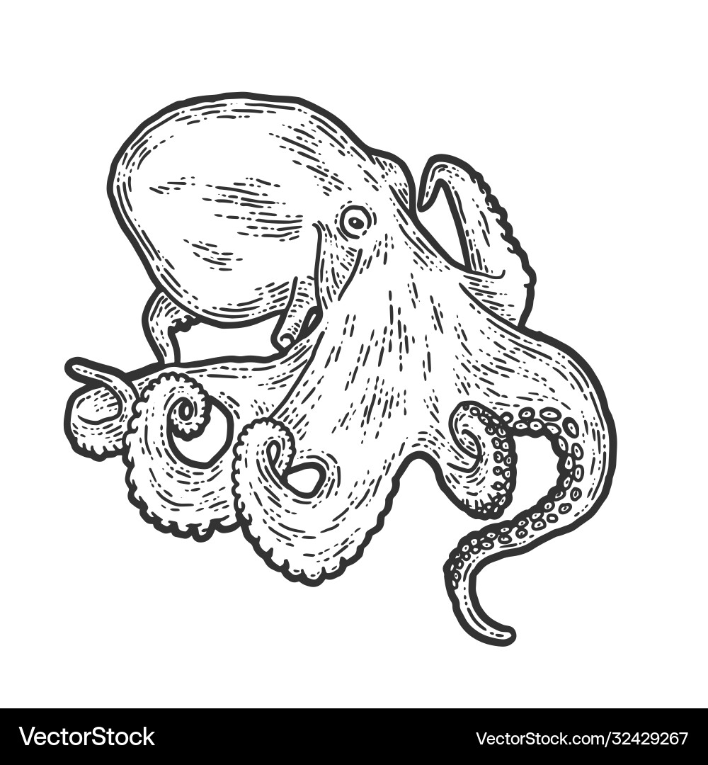 Sea animal octopus sketch scratch board Royalty Free Vector