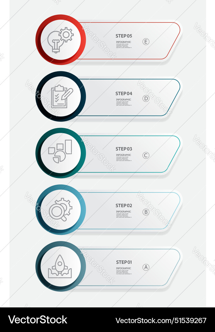 Vertical infographics label 5 steps for report Vector Image