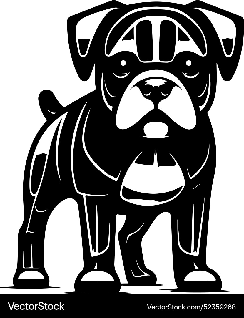 Boxer dog silhouette collection on white Vector Image