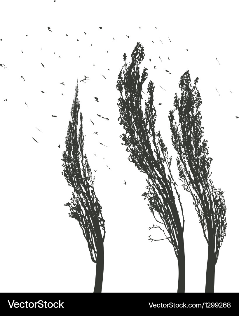 Poplars in the wind Royalty Free Vector Image - VectorStock