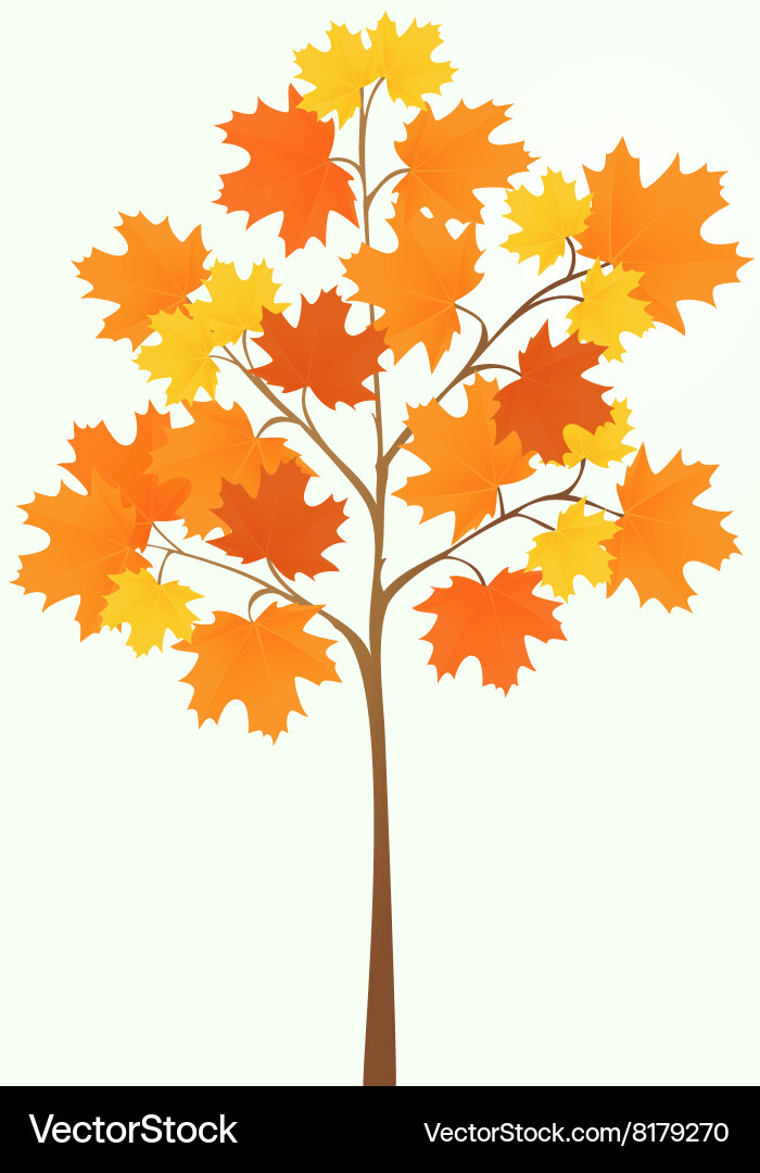 Tree Royalty Free Vector Image - VectorStock