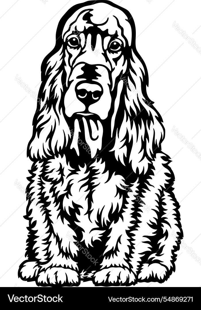 English cocker spaniel dog breed - pet cut Vector Image