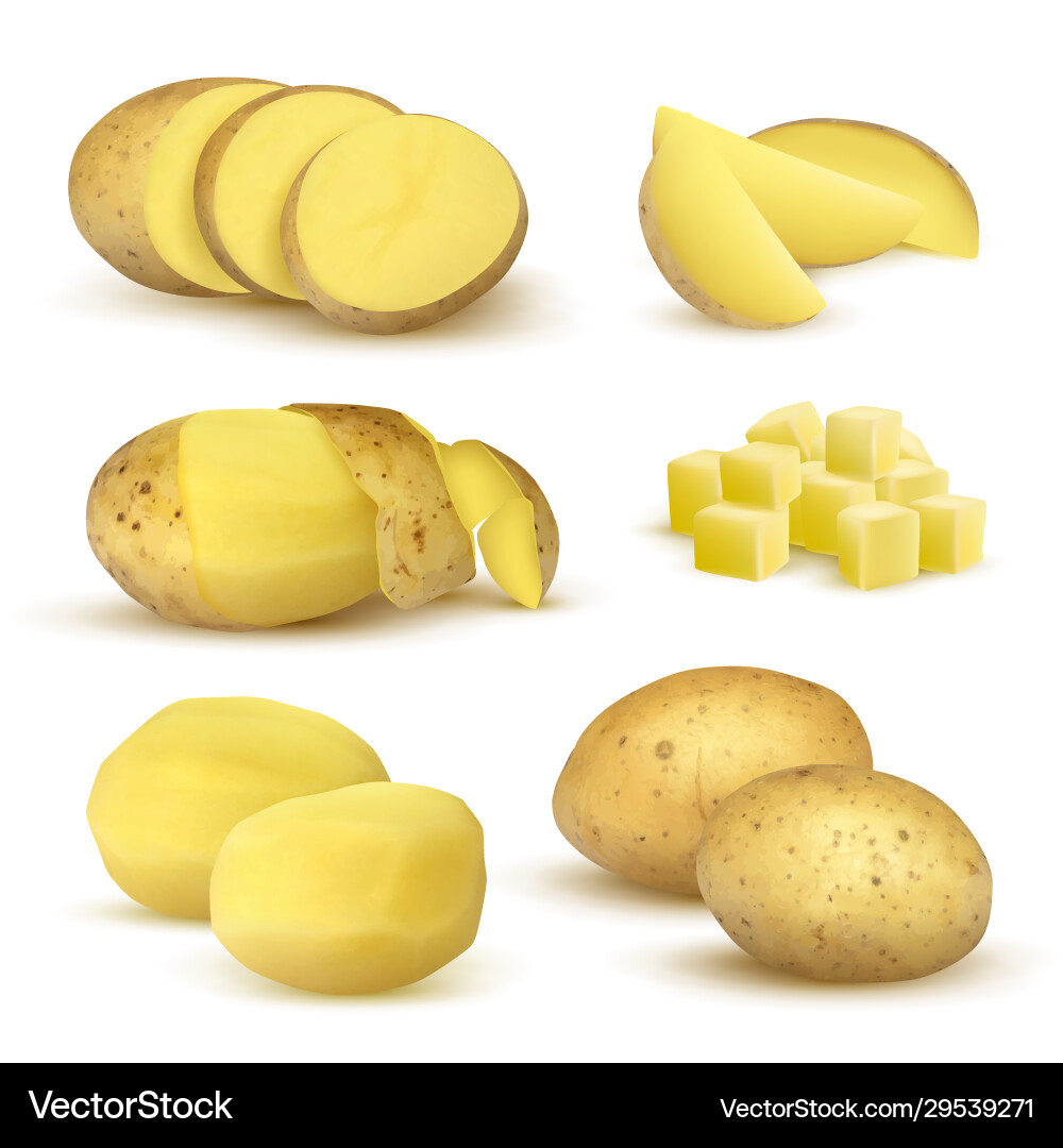 Realistic potatoes grocery natural products Vector Image