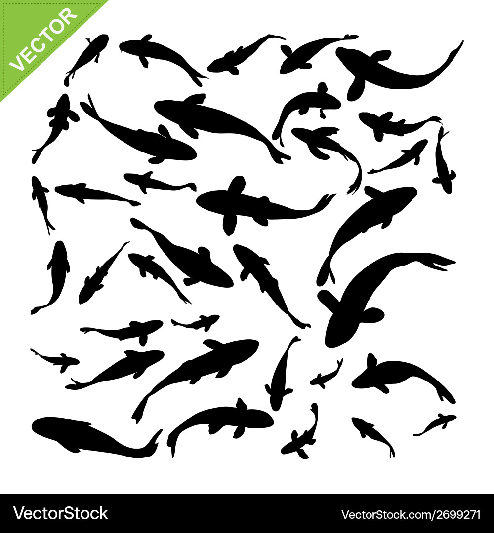 Top view of fish silhouettes Royalty Free Vector Image