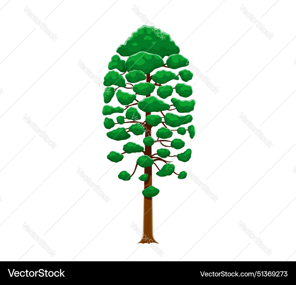 Cartoon jungle rainforest tree tropical plant Vector Image