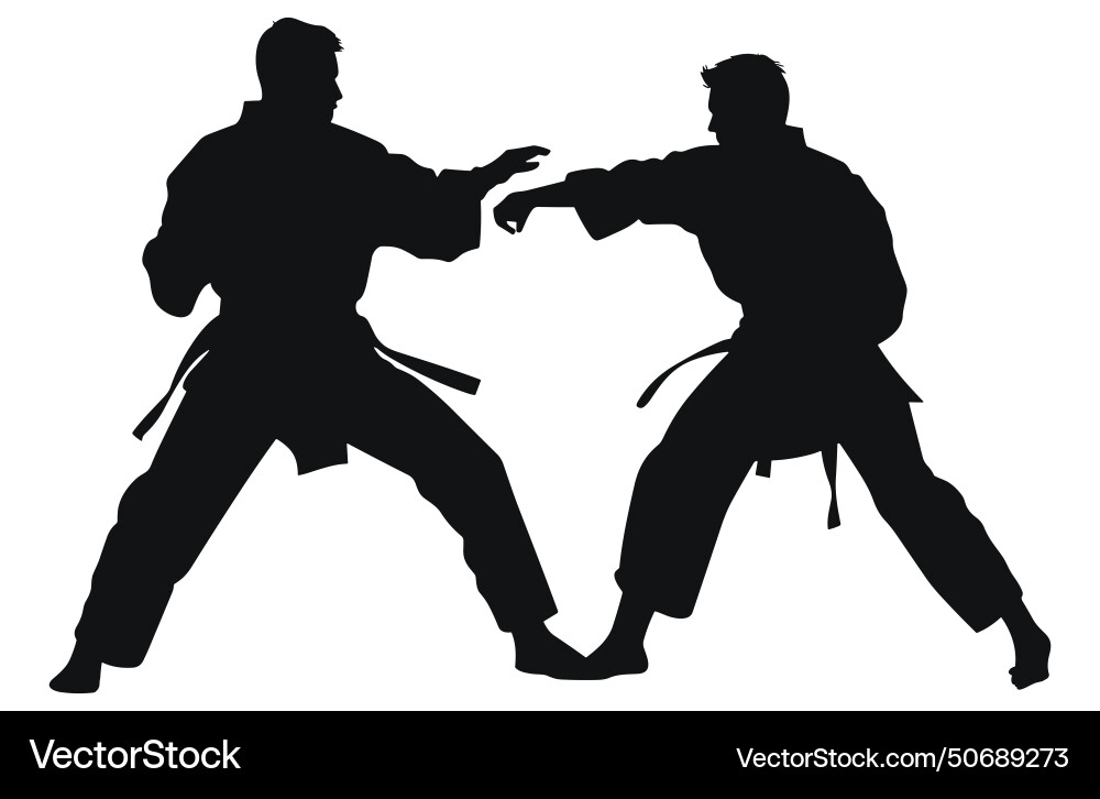Two men practicing karate silhouette Royalty Free Vector
