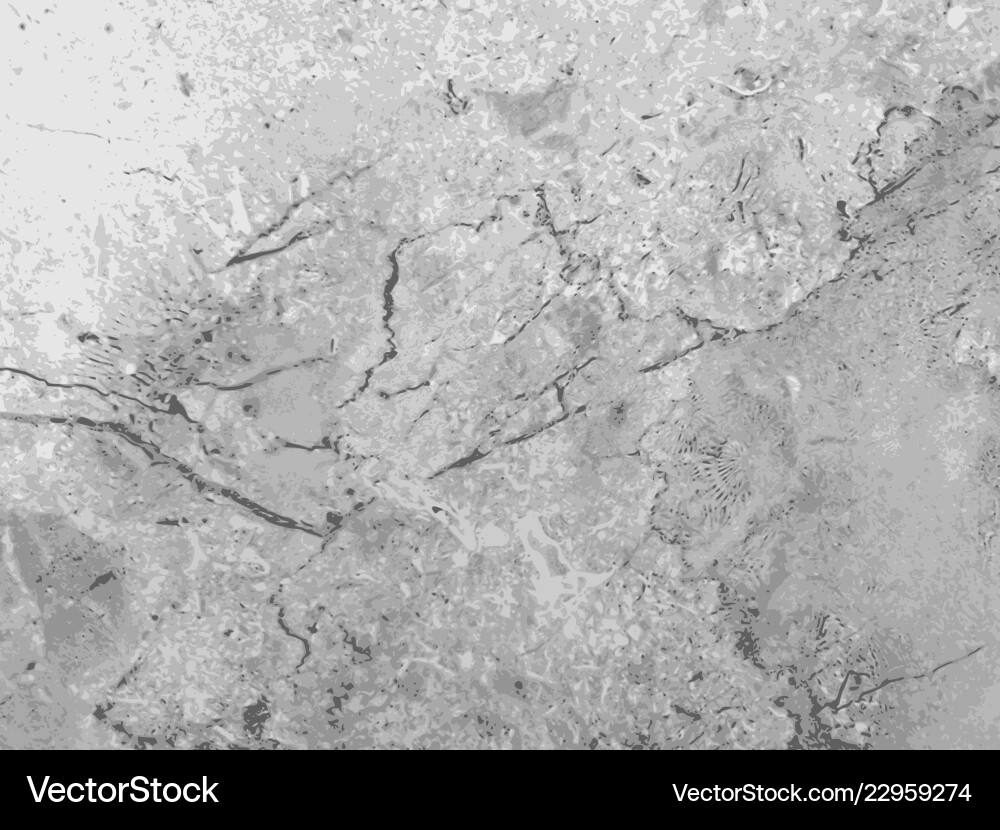 Gray Marble Texture Background Royalty Free Vector Image