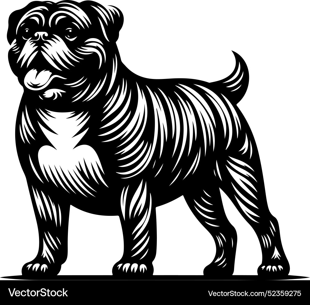 Boxer dog silhouette collection on white Vector Image