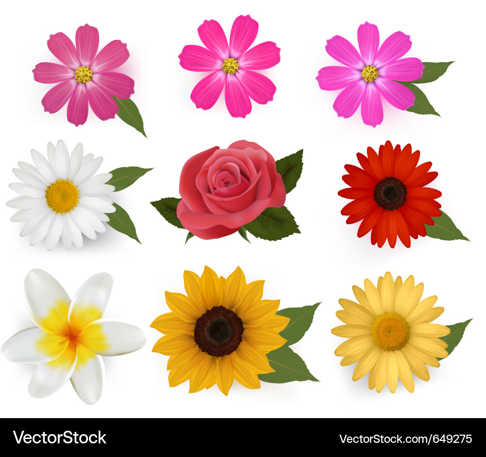 Flower icons Royalty Free Vector Image - VectorStock