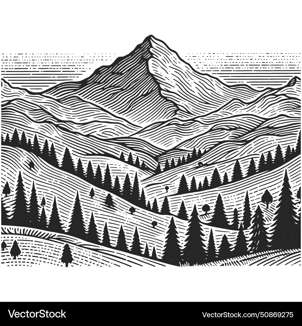 Mountain landscape with forest engraving Vector Image