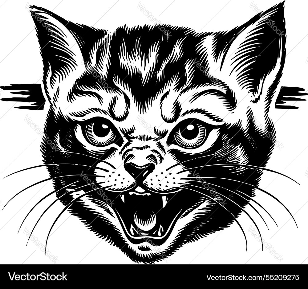 This is an of a angry cat facing Royalty Free Vector Image