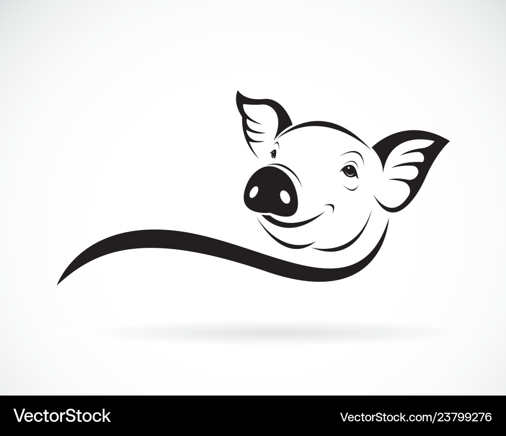 Pig head design on white background animal farm Vector Image