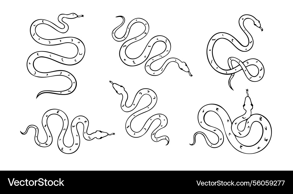 Hand drawn doodle snake top view icon set outline Vector Image