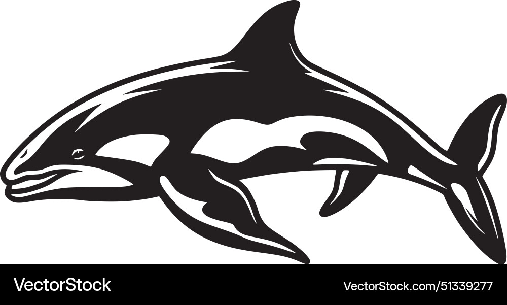 Orca - black and white Royalty Free Vector Image