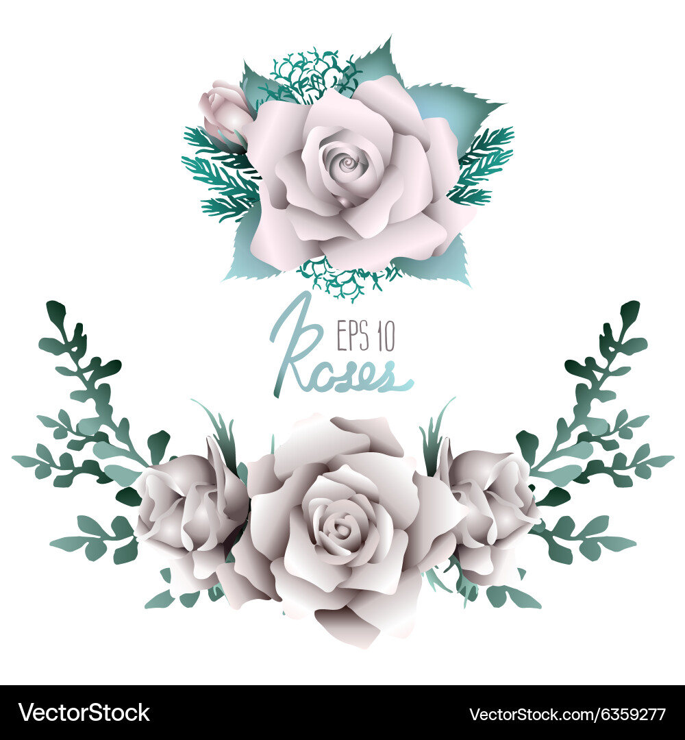 White roses vignette collection Royalty Free Vector Image