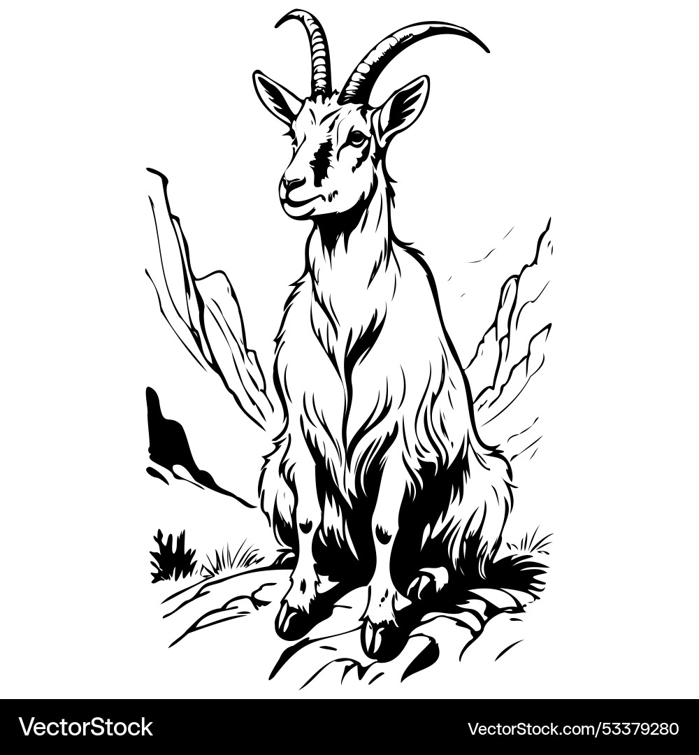 Engrave alpine goat sitting black hand drawn Vector Image