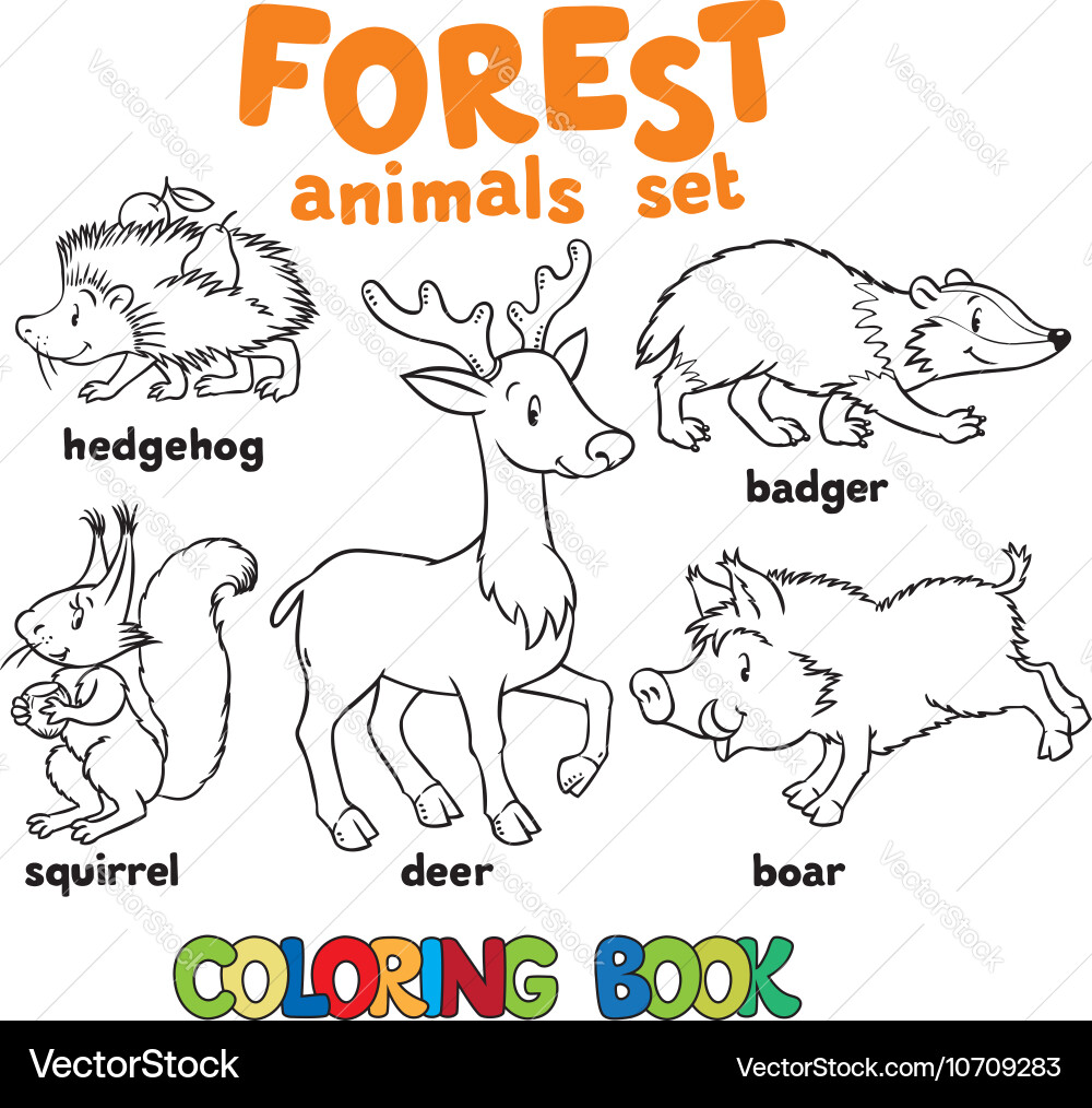Forest Animals Coloring Page Royalty Free Vector Image