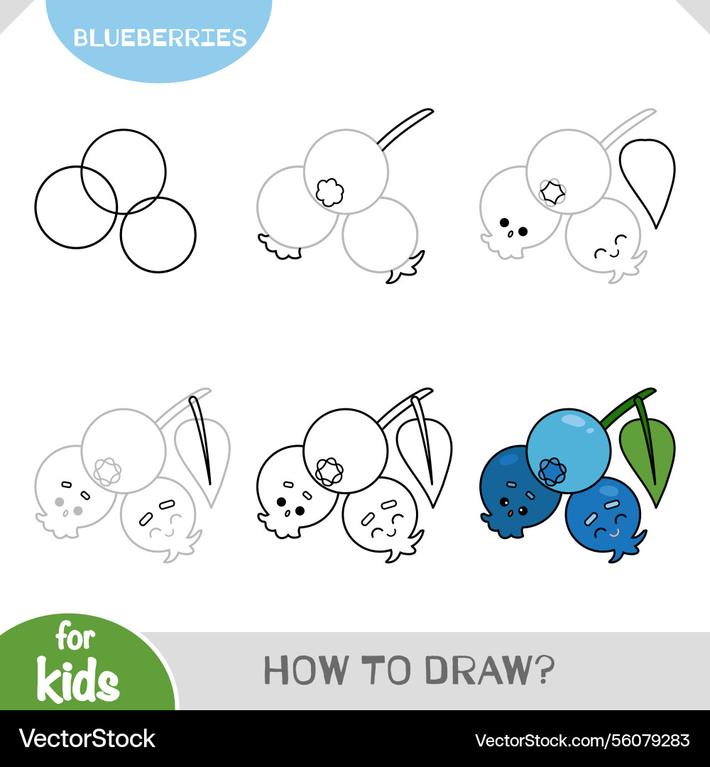 How to draw blueberries for children step Vector Image