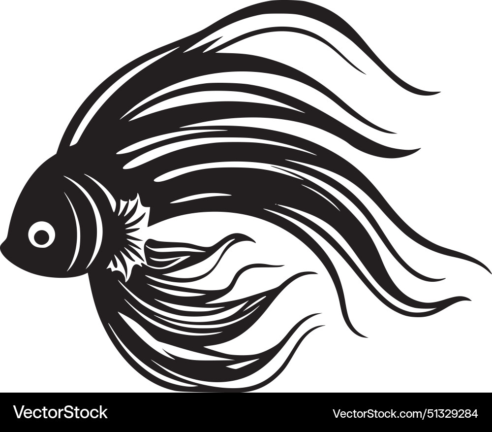 Betta fish - black and white Royalty Free Vector Image