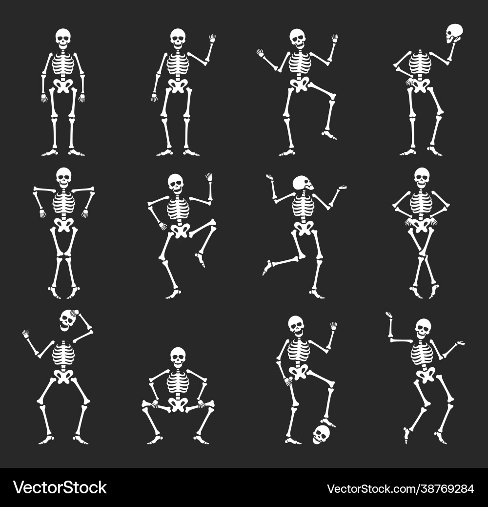 Skeleton Poses Vector Images (over 960)
