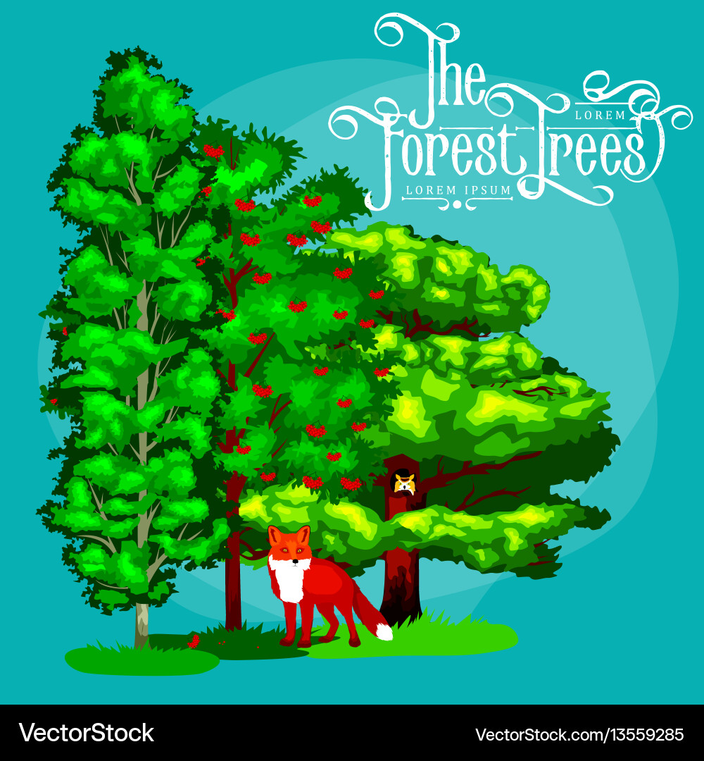 Cartoon set trees outdoor park Royalty Free Vector Image