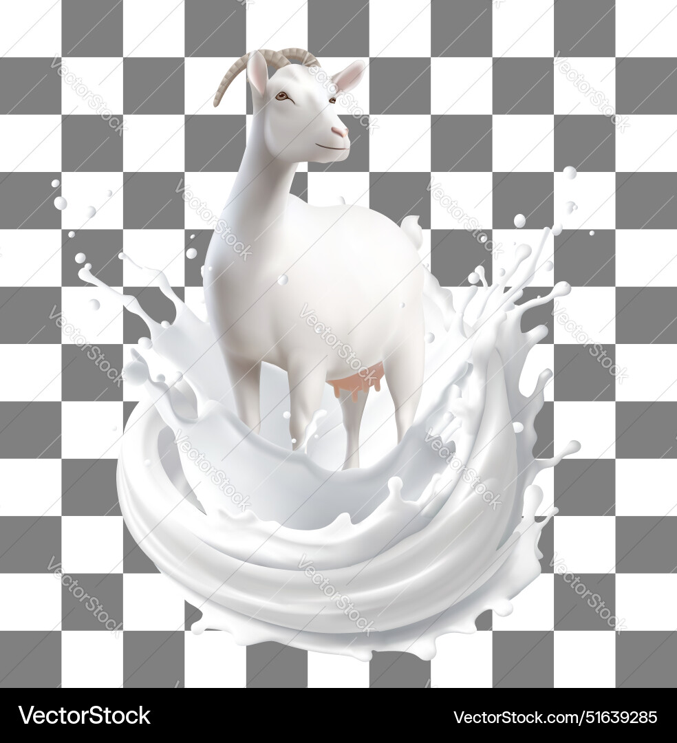 Dairy poster milk products goat and splash Vector Image