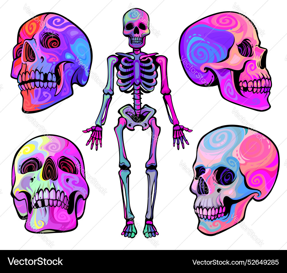 Drawn stylized human skulls and skeleton in Vector Image