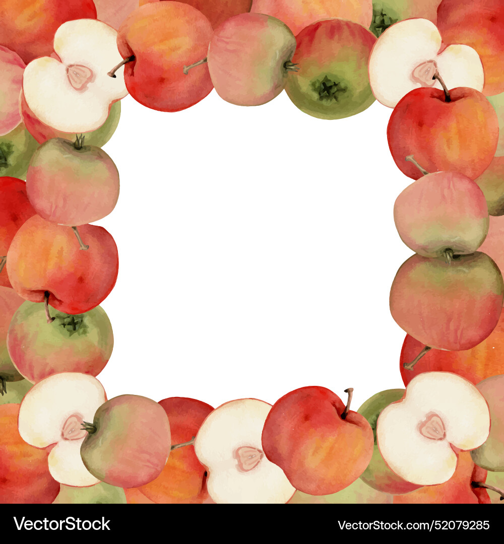 Hand drawn watercolor apple fruits ripe full Vector Image