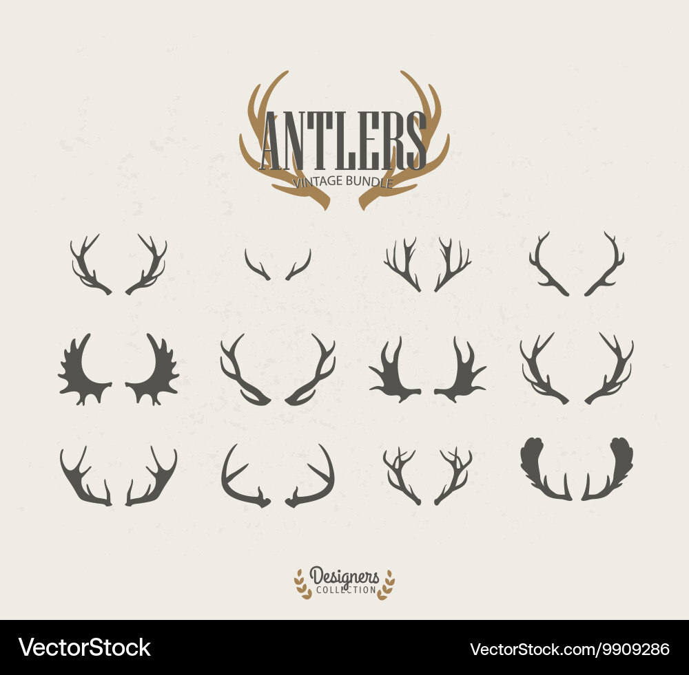 Deer antler icon set Royalty Free Vector Image