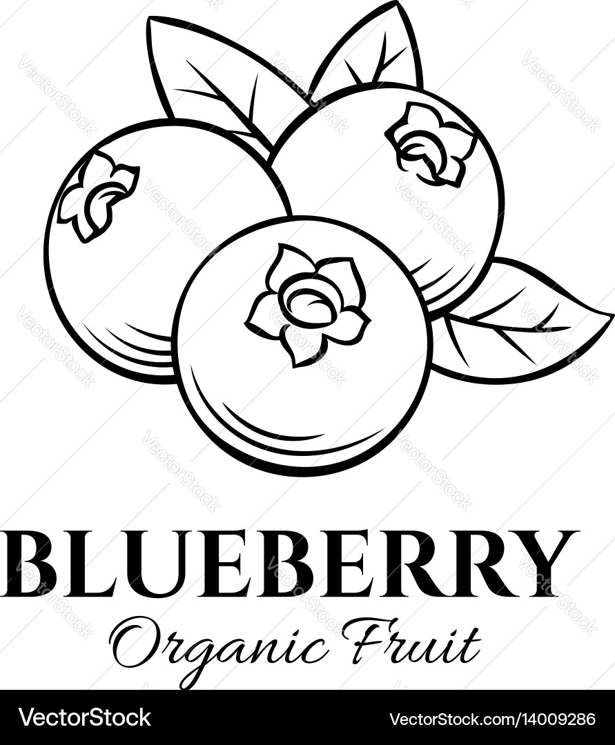 Hand drawn blueberry icon Royalty Free Vector Image