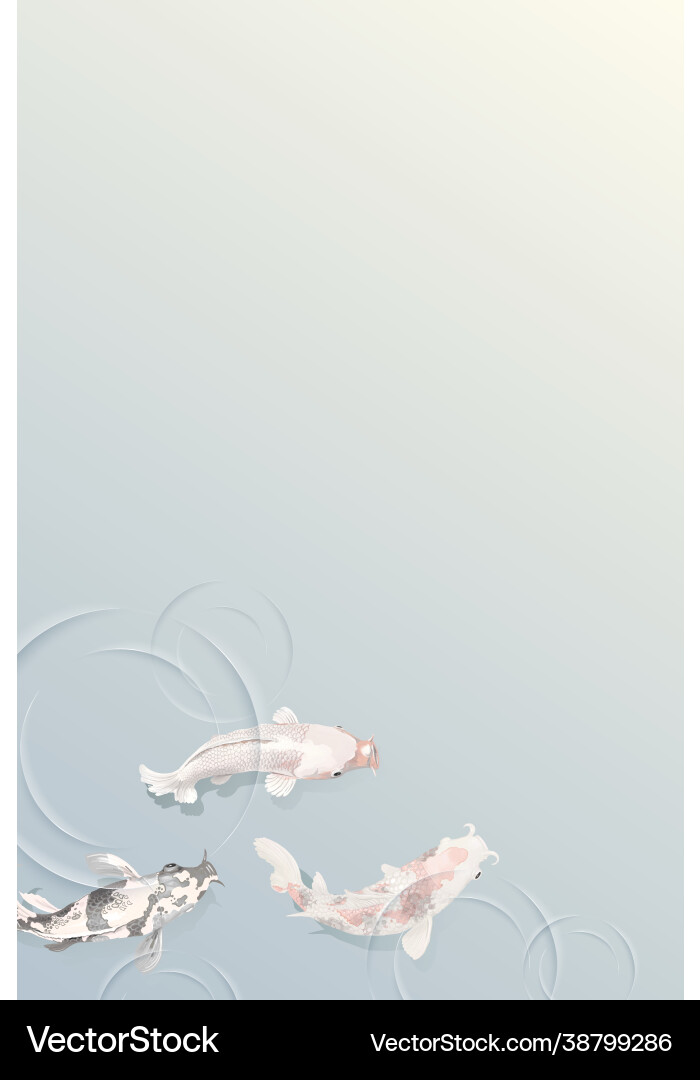 Koi-04 Royalty Free Vector Image - VectorStock