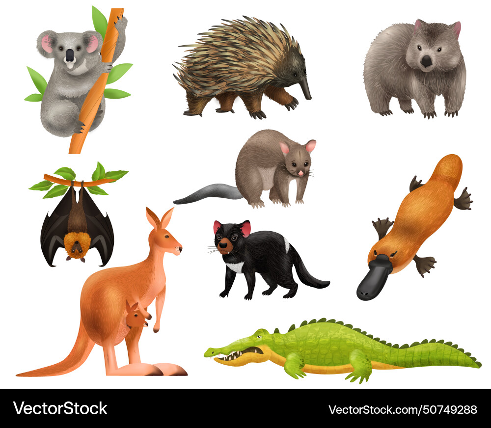 Australian animals icon set Royalty Free Vector Image