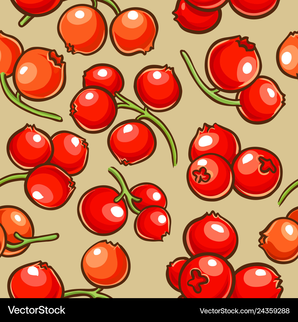Cranberry berries pattern Royalty Free Vector Image
