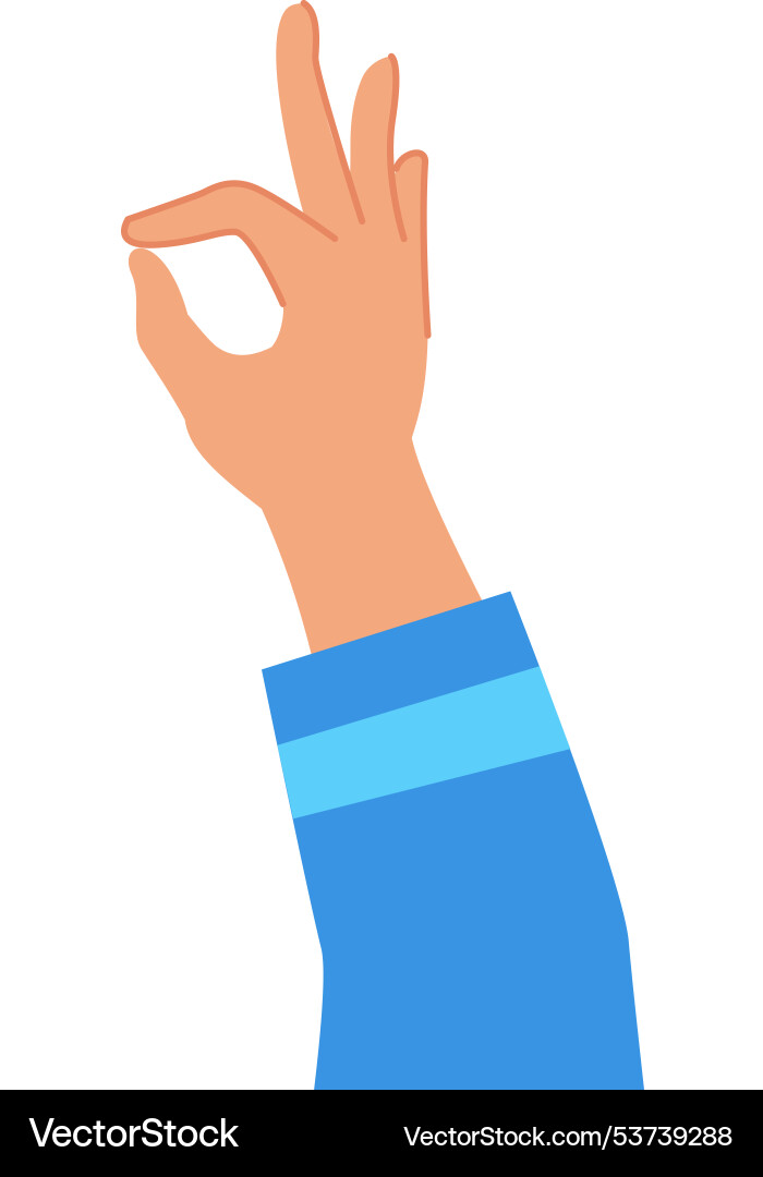 Ok gesture hand approval sign positive arm Vector Image
