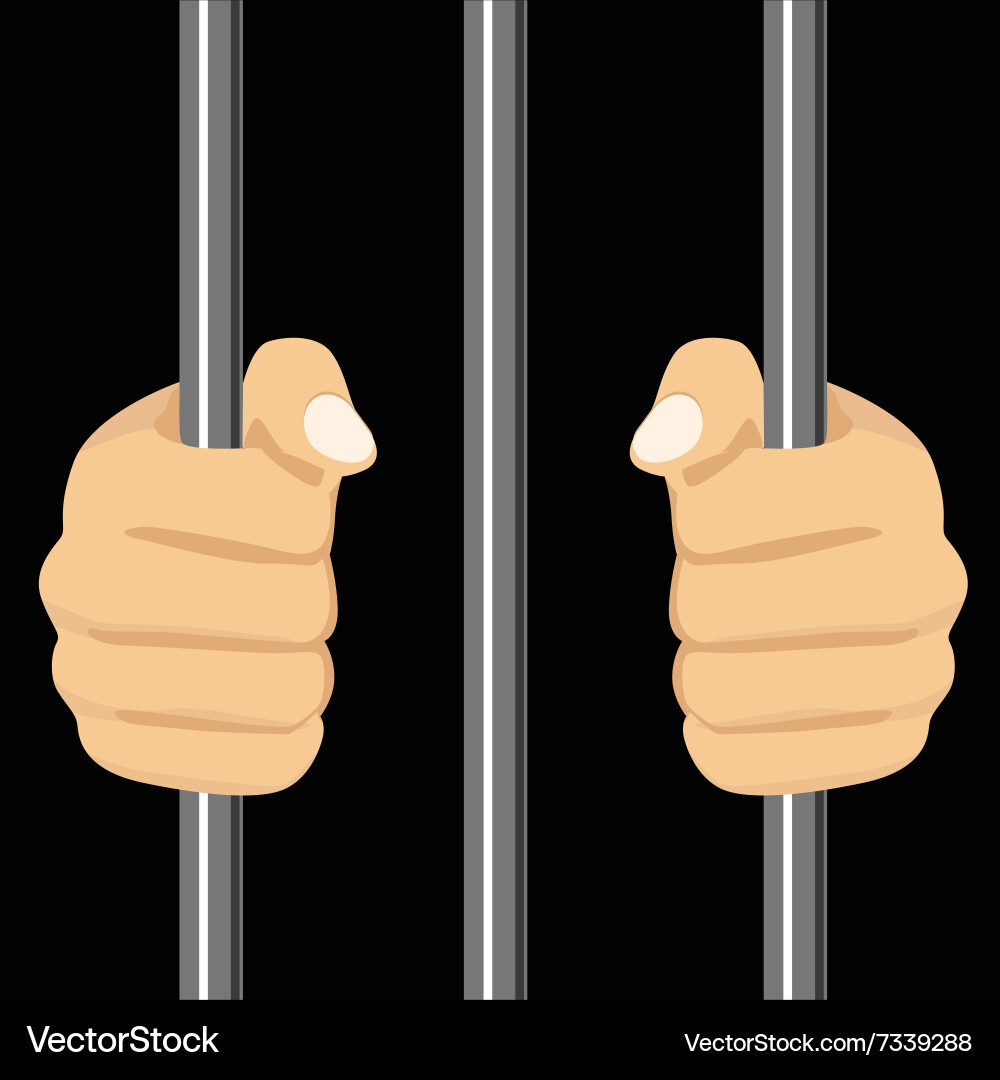 Person Behind Bars Royalty Free Vector Image - VectorStock
