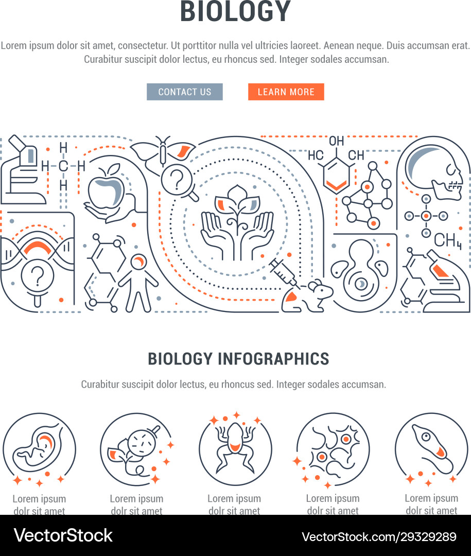 Banner biology Royalty Free Vector Image - VectorStock