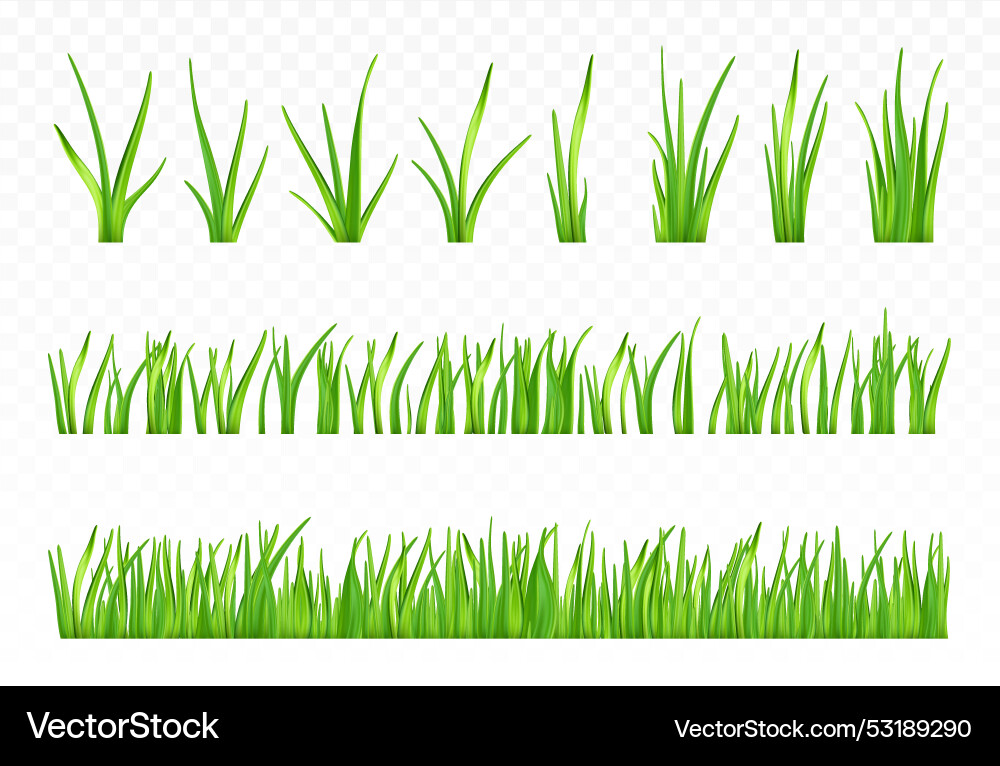3d green grass Royalty Free Vector Image - VectorStock