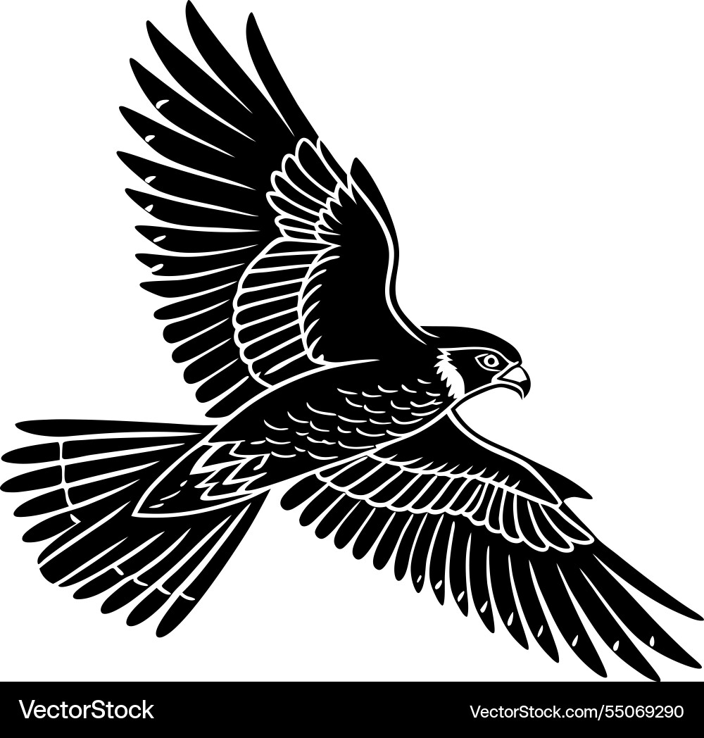Black hawk in flight - stylized peregrine falcon Vector Image