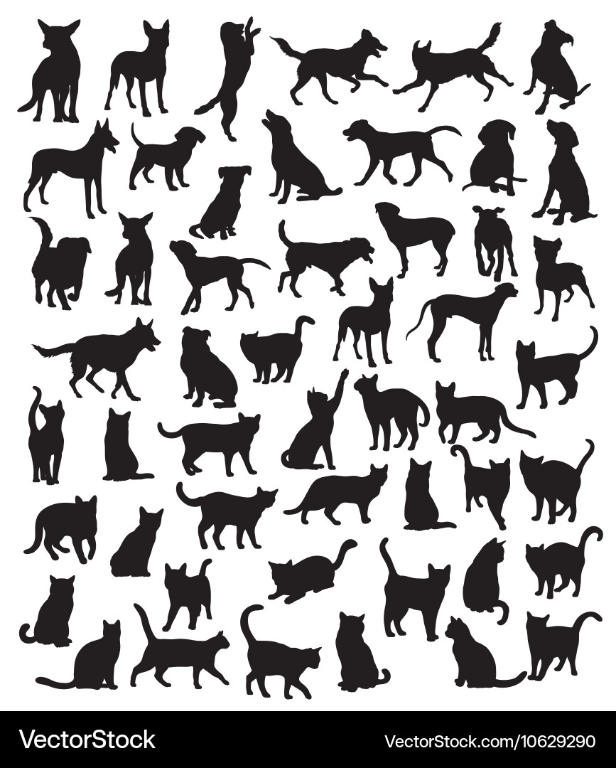 Pets Royalty Free Vector Image - VectorStock