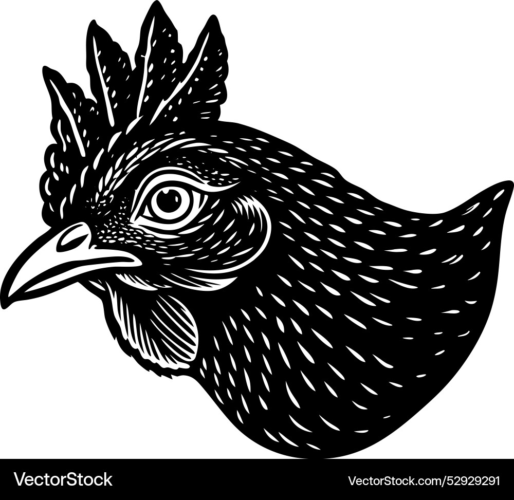 Vintage chicken hen head Royalty Free Vector Image