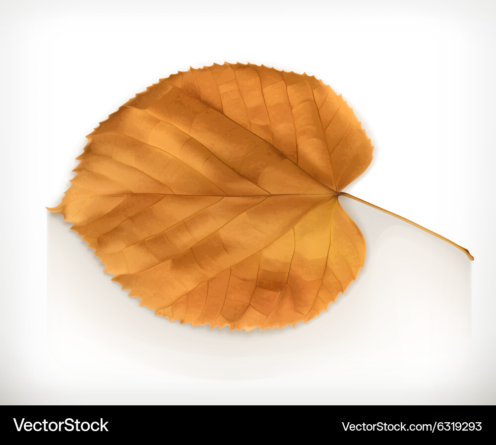 Dry leaf icon Royalty Free Vector Image - VectorStock