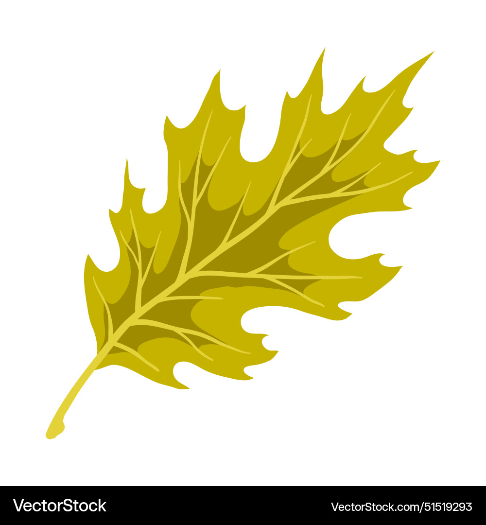 Oak leaf decorative autumn Royalty Free Vector Image