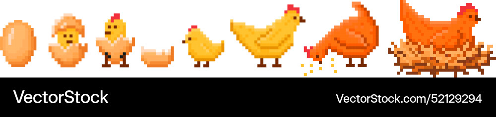 Pixel art chicken hatching hen life cycle Vector Image