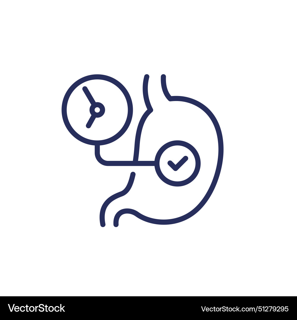 Digestion time to digest line icon with stomach Vector Image